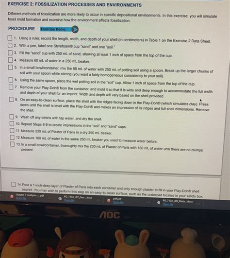 EXERCISE 2 FOSSILIZATION PROCESSES AND ENVIRONMENTS Chegg Com