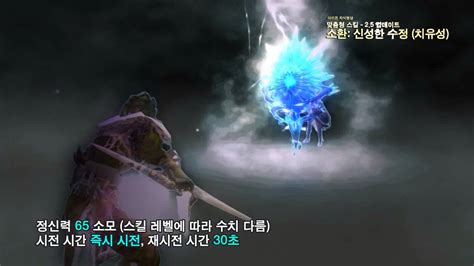 [아이온] 아이온 맞춤형 스킬 치유성 Youtube