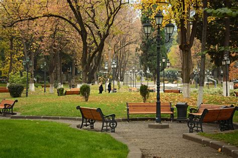 9 აპრილის ბაღი Insi