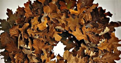 Serendipity Refined Blog Easy Fall Diy Craft Rustic Oak Leaf Wreath