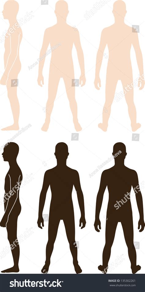 Full Length Profile Front Back View ภาพประกอบสตอก 135302261