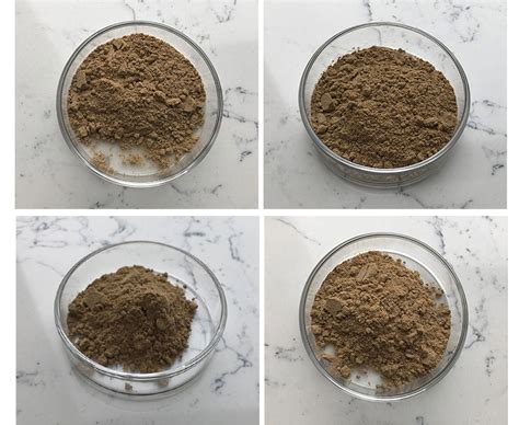 Morphological Characteristics Of Colony Of Bacillus Pumilus Top Quality
