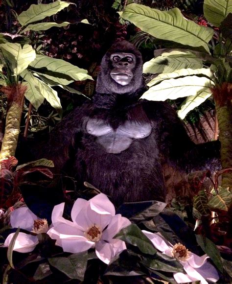 Rainforest Cafe Niagara Falls Dancing Gorilla Niagara Falls