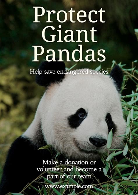 Protect Giant Panda Poster Template Free Editable Template Rawpixel