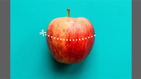 How To Create Dashed And Dotted Lines In Illustrator Byol Bring