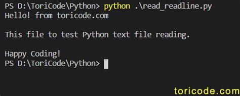 Python Read Text File