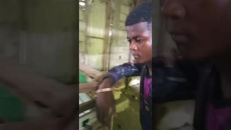 Ivo Arrey Mbongaya On Linkedin Ivo Arrey Mbongaya On Sex Determination