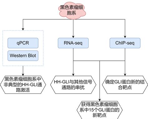 联合分析专题（五）：转录组 表观遗传联合分析的研究思路 武汉灵思生物技术有限公司