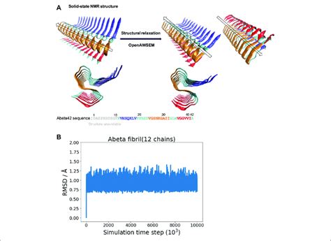 The Overall Structure Of The Experimentally Determined Fibrillar Download Scientific Diagram