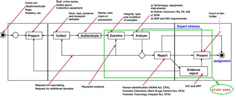 Process Flow Chart For Forensic Science Services In Tanzania And The Download Scientific