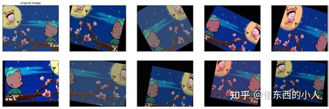 图片数据增强之imgaug 知乎