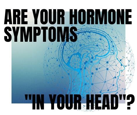 Hormone Hierarchy