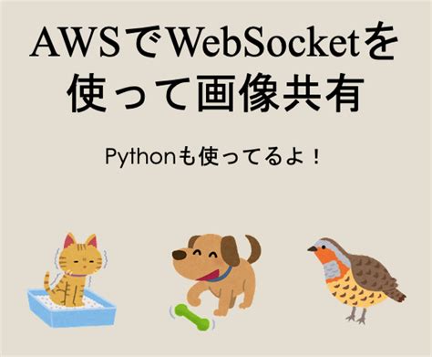 【画像】awsでwebsocketを使って画像共有｜ニフティニュース