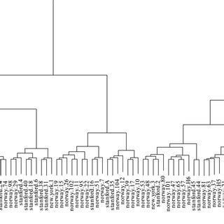 Hierarchical clustering of tumor samples of Sørlie et al data 456