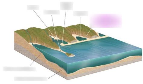 Diagram Of Final Coastal Geomorphology Pt 2 Quizlet