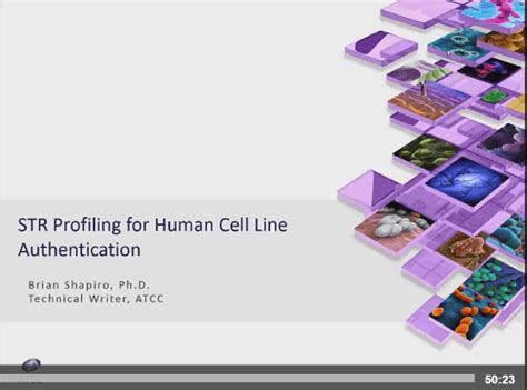 ATCC STR Profiling service를 소개