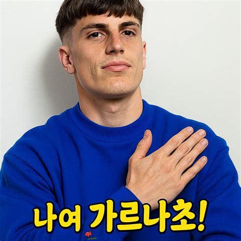 나여 해외축구 에펨코리아