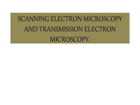 Microscopy Scanning Electron Micropptx Microscopy Scanning Electron Micropptx