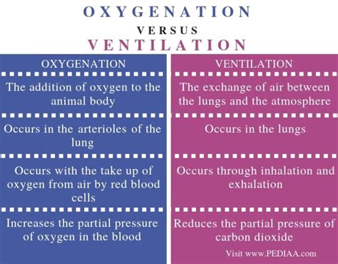 What Is The Difference Between Oxygenation And Ventilation Pediaa Com