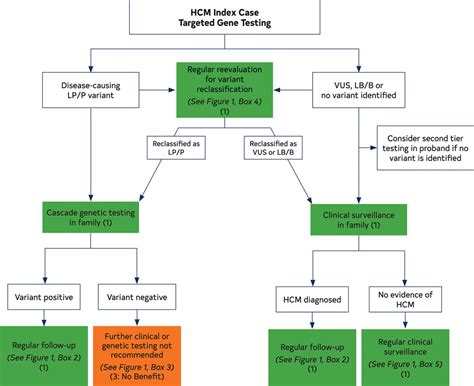 2020 Aha Acc Guideline For The Diagnosis And Treatment Of Patients With Hypertrophic