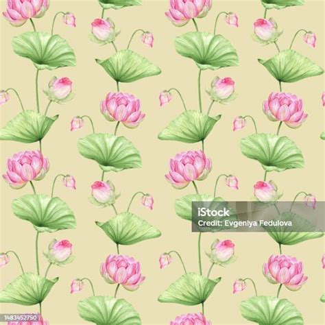 꽃과 연꽃은 노란 바탕에 있다 수채화 원활한 패턴입니다 수련이 있는 배경 직물 직물 벽지 디지털 종이 스크랩북 꽃 식물에 대한 스톡 벡터 아트 및 기타 이미지 Istock