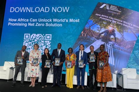 Africa Finance Corporation Africa Must Own Carbon Offsets Value Chain