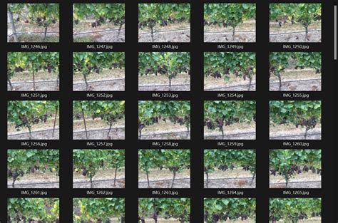 探险家的数据窝 数据是第一生产力