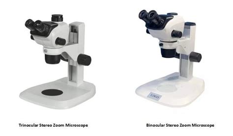 Stereo Microscopes A Guide To Types Uses And Choosing The Right One Scopelab