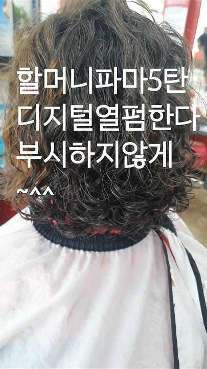 할머니파마5탄파마가렵지않은새치염색하면서파마하기단발머리파마하기예쁜머리시그니처파마일반파마디지털파마 250316