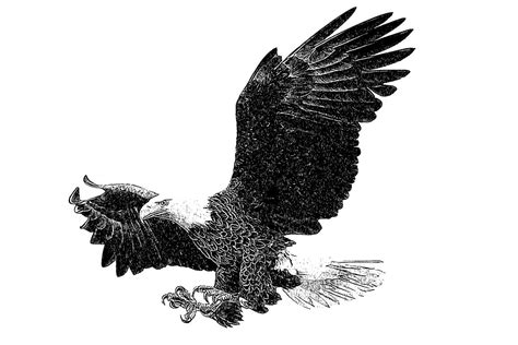 Photoshop Action Texture Vector Tracing Maker