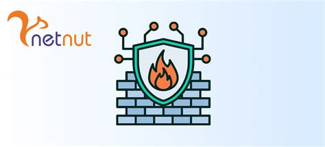 What Is Proxy Firewall Definition And Functionality Netnut