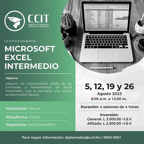 Microsoft Excel Intermedio Ccit