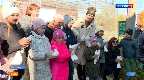 Юннаты примут участие в акции «Сад Памяти Youtube