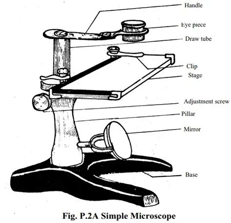 Simple Microscope Parts