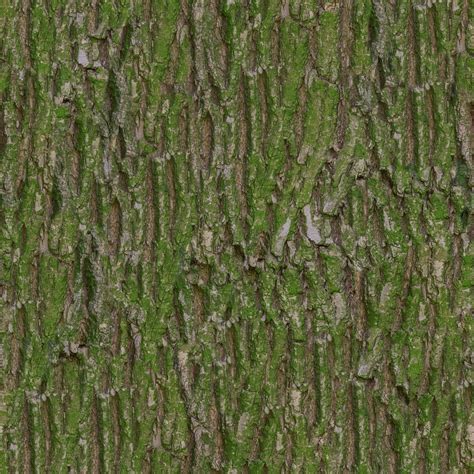 Bark Moss Tileable Free Photo On Pixabay