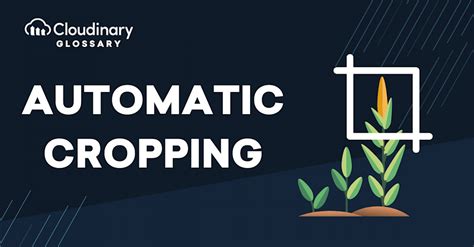 Automatic Cropping Cloudinary