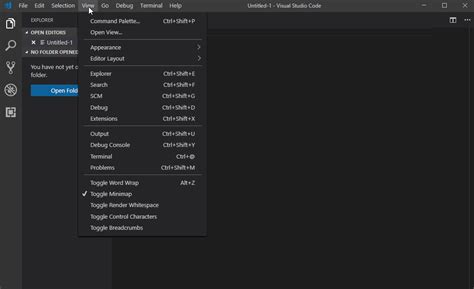 vs code support flutterview