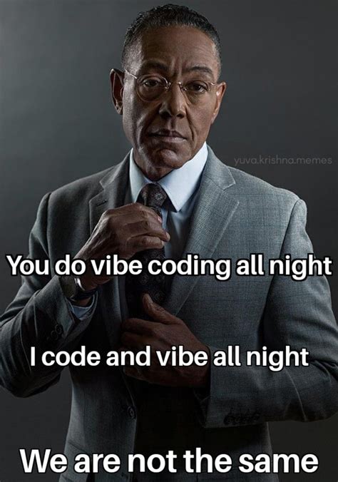 Vibe Or Cry The Developer Hierarchy ·