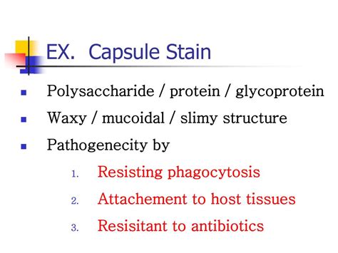 Ppt Negative Stain Capsule Stain Powerpoint Presentation Free