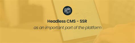 Headless Cms Ssr As An Important Part Of The Platform Salestube