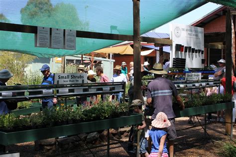 Crowded Nursery Armidale Tree Group