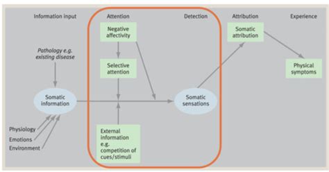 Kaarten Lecture 5 Symptom Perception Interpretation And Reporting