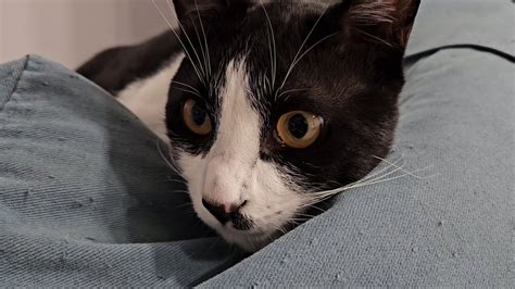 놀고싶은 여름이 Youtube