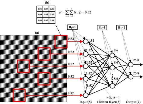 37 Output Of The Flocculus Network For A Pattern In Motion Download