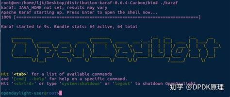 关于openvswitch——ovs Ofctl命令使用 知乎