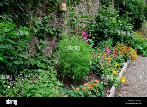 Pollinator Garden Planted To Provide Nectar Or Pollen For Bees And