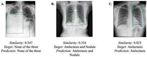 Displays Three Examples Of Explanations From Explainable Models Blue Download Scientific