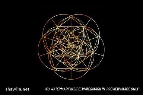 Fibonacci Spiral The Sacred Geometry Graphic By Shawlin · Creative Fabrica