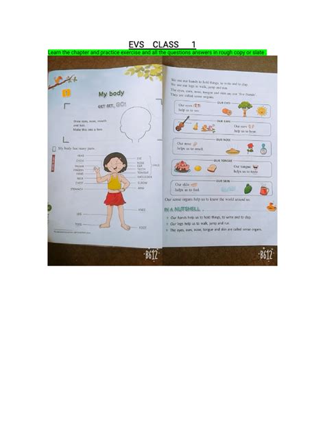 Evs Class 1 Pdf
