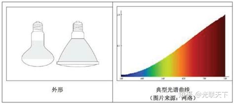 常见的光源种类及原理 知乎
